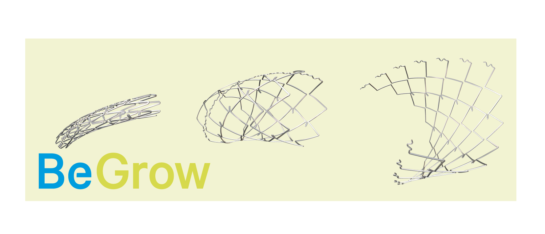 Press Release: First-in-man as 24 day old baby receives BeGrow stent ...